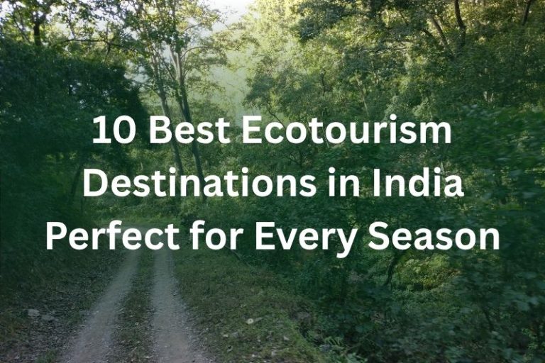 10 Best Ecotourism Destinations in India Perfect for Every Season ...