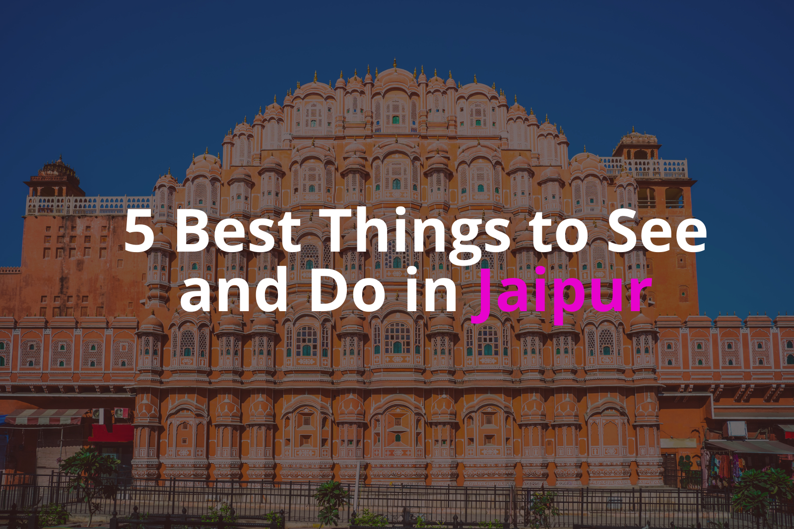 A Trip to Jaipur: Things to Do and See in the Pink City- Shakti India Tours